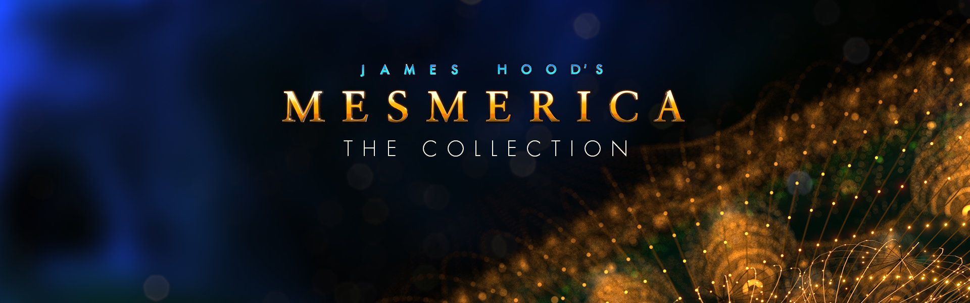 The James Hood Store